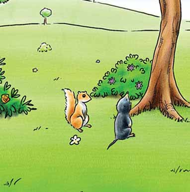 Unit 5: The animal school