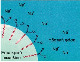 5.2 Λίπη και έλαια